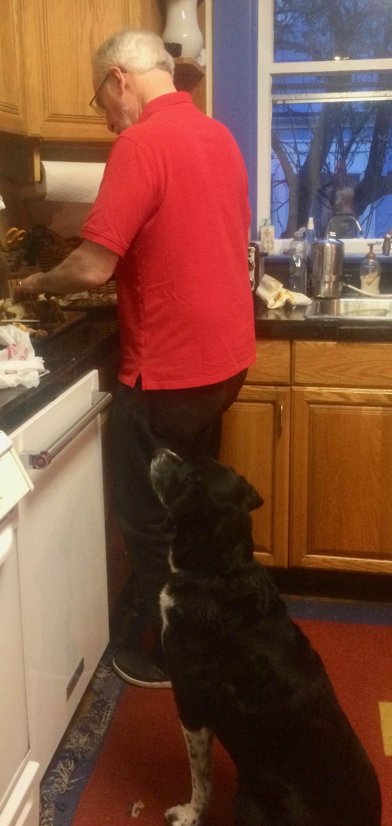 How I know George Lucas Had a Dog – Ruth Polk